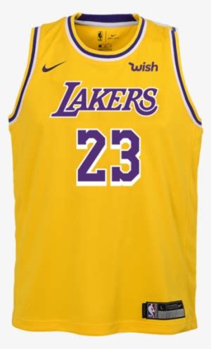 Los Angeles Lakers Youth Lebron James Icon Edition Youth Lebron James