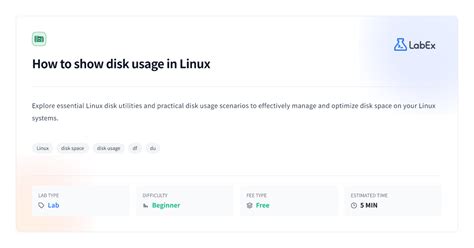 how to show disk usage in linux labex