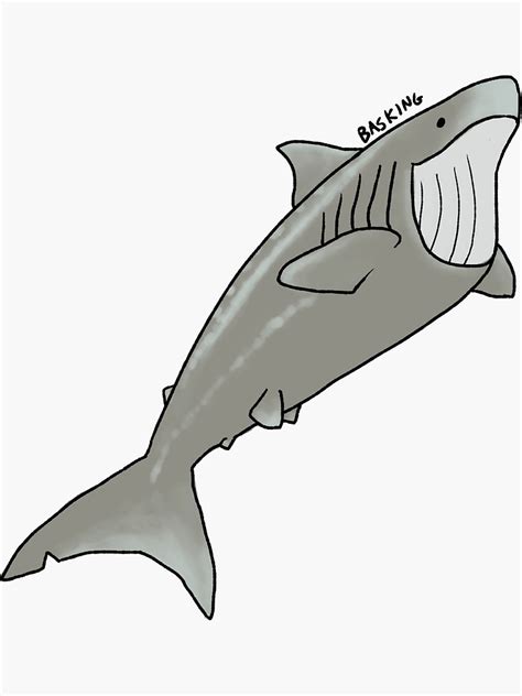 Happy Shark Artofit
