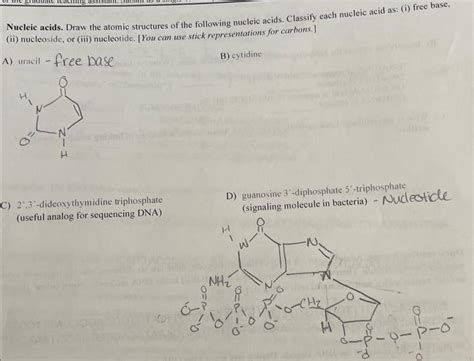 Solved Nucleic Acids Draw The Atomic Structures Of The Chegg