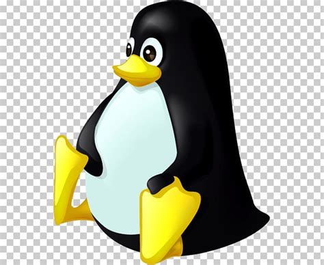Tux Linux Computer Icons PNG Clipart Arch Linux Beak Bird Computer Icons Flightless Bird