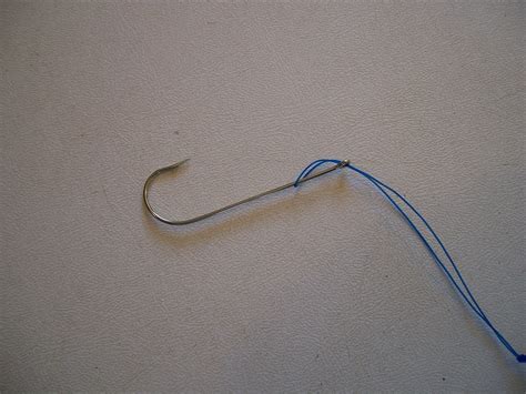 Fishyfishy A Tip When Using Mackerel As Bait