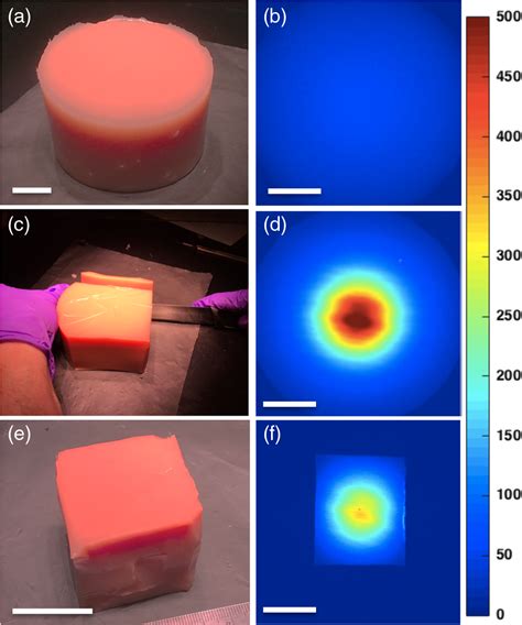 Development And Evaluation Of A Connective Tissue Phantom Model For