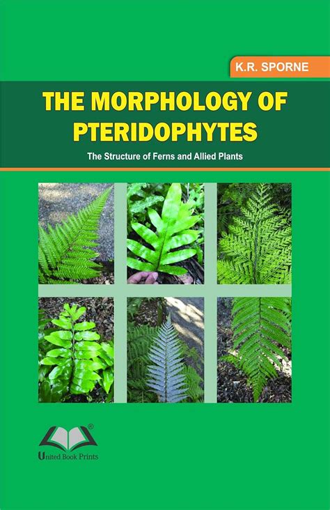 Buy The Morphology Of Pteridophytes The Structure Of Ferns And Apllied