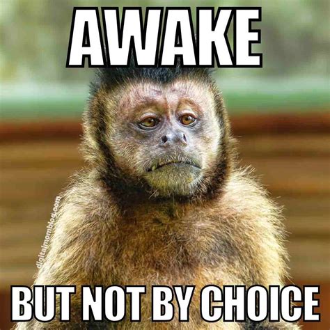 Tired Just Tired Meme