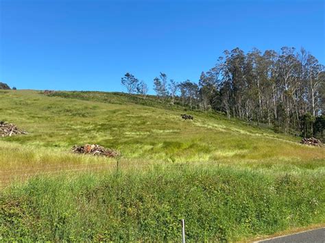 Liena Road Mole Creek Tas Vacant Land For Sale Domain