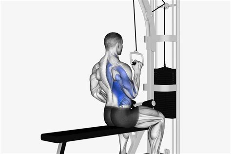 Top 10 Variations Of Lat Pulldowns To Work Your Back Muscles Dmoose
