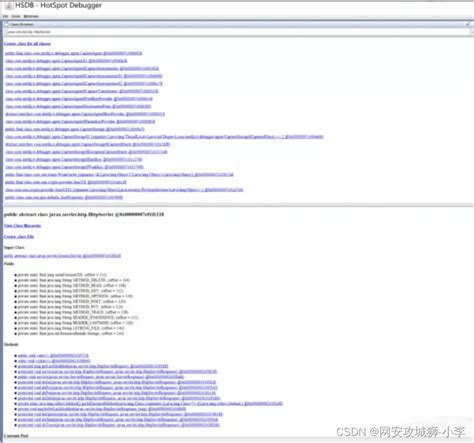【网络安全】agent内存马的自动分析与查杀 java agent内存马 csdn博客