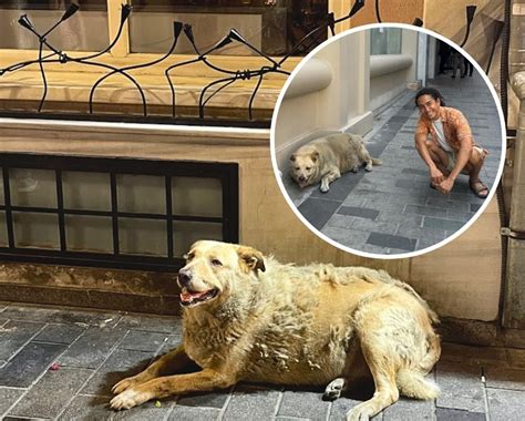 Истанбул хотын жуулчдын хамгийн өндөр үнэлгээтэй очиж үзэх газраар