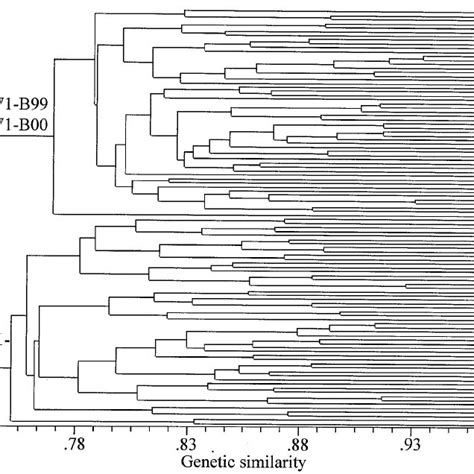 unweighted pair group method with arithmetic average cluster analysis