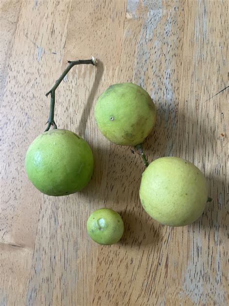 Parag K Vyas On Linkedin Graubardesign Industrialdesign