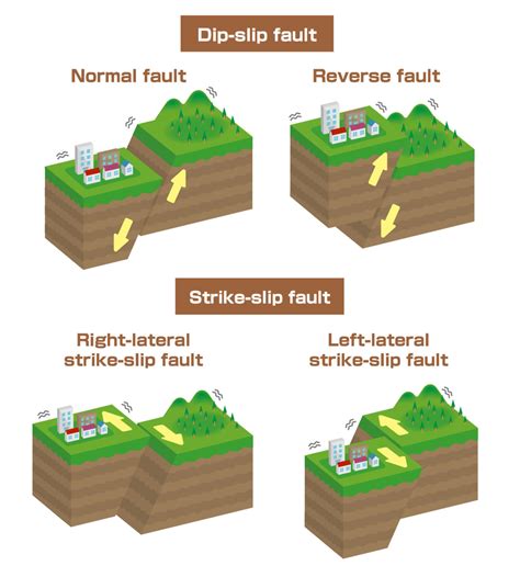 What Are The 4 Different Types Of Earthquakes At Marcus Lewis Blog