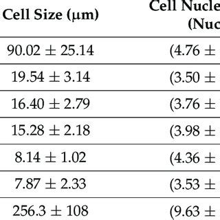 Density Cell Size Cell Nucleation Density Homogeneity And Open Cell Download Scientific