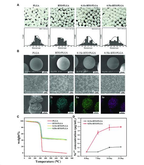 A The Micrographs And Statistical Analysis Of The Size Distribution Download Scientific