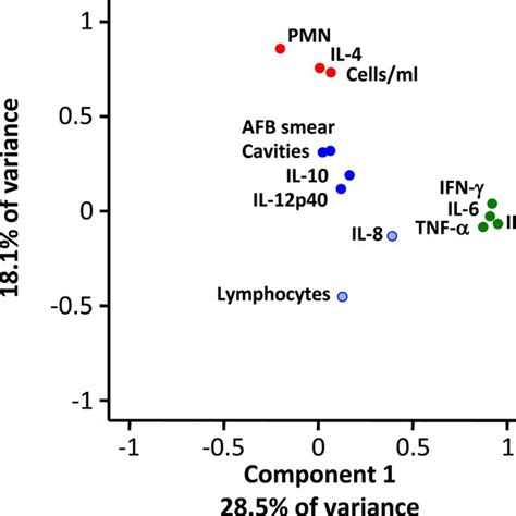 Principal Component Analysis Component 1 Explains 28 5 Of Variance And Download Scientific