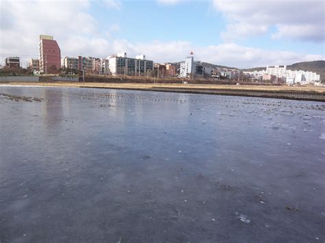한겨울 논썰매장이 되버린 서산동문동 동문초등학교 코아루앞 얼음썰매장 자연스럽게 생긴것치곤 얼음이 평평하게 넘잘얼었네 네이버 블로그