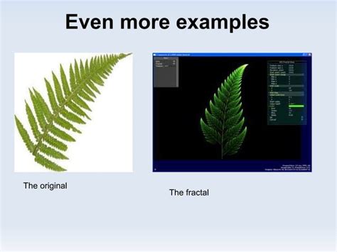 Fractals Ppt