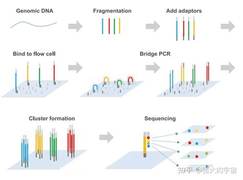 浅谈基因测序和数据分析架构 知乎
