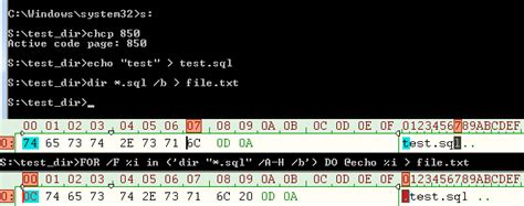 iterating over files in directory prepends extra character to filename