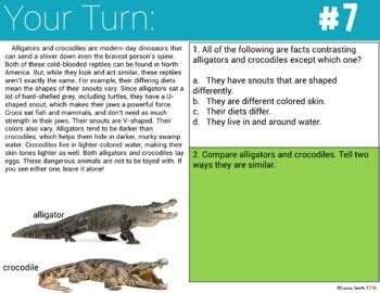 RI Compare And Contrast Nonfiction Passages Compare Contrast Text Structure