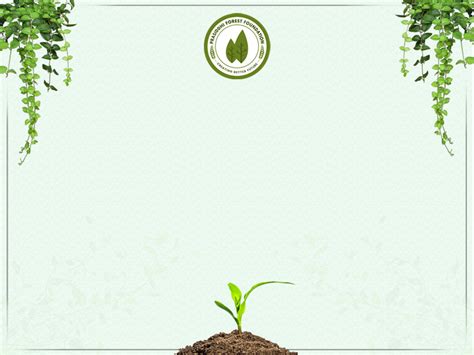 Prasiddhi Forest Foundation Plant A Tree