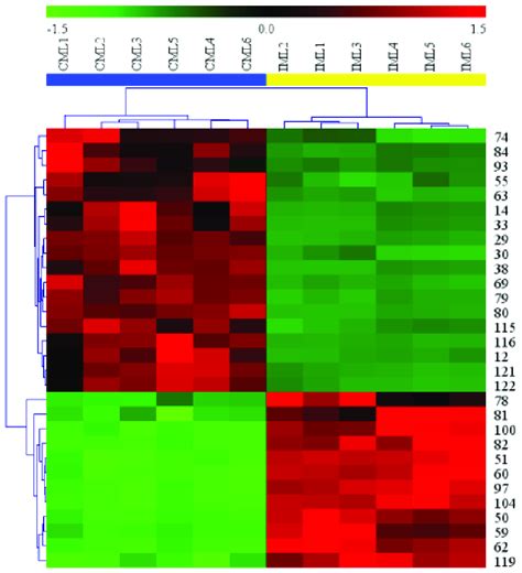Heatmap Visualizing The Intensities Of Potential Chemical Markers Download Scientific Diagram