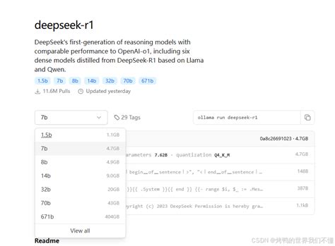 Deepseek本地部署：轻松搭建专属代码助手deepseek Coder本地部署 Csdn博客