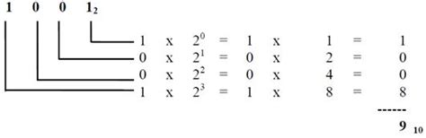 unsigned binary to decimal conversion
