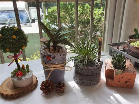 도우화분에 다육심기발포세라믹화분에 다육심기 네이버 블로그