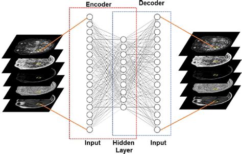 Illustration Of An Autoencoder Used To Learn A Low Dimensional