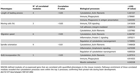 Cytoskeleton Processes Are Correlated With Neuronal Migration Defects