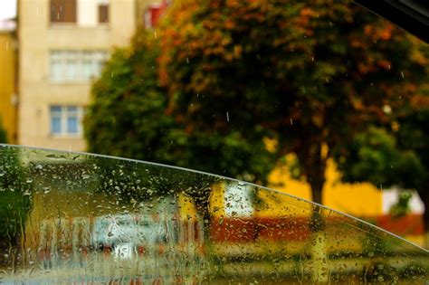 Autumn in Uzbekistan - photos