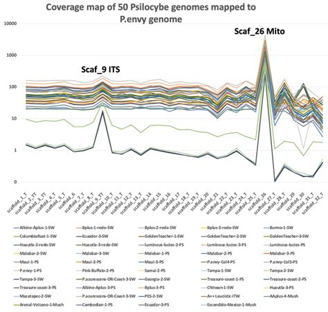 Coverage Plot Of 50 Genomes Mapped To Penvy Reference Coverage Log