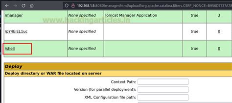 Tomcat Penetration Testing