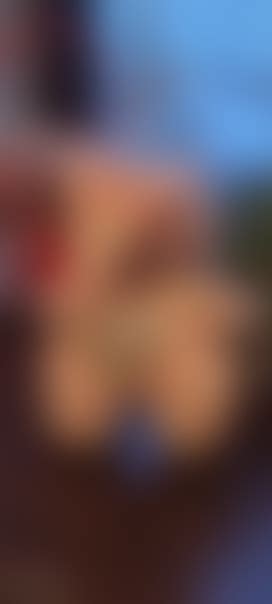 Продам Серый кролик ручной работы ищет добрых хозяев Елена Котики Салаир Барахолка ВКонтакте