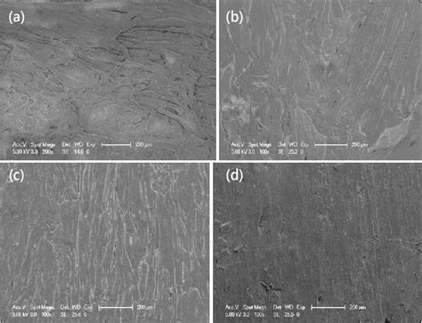 Sem Micrographs Of Experimental Specimen Surfaces At Point A A No1 Download Scientific