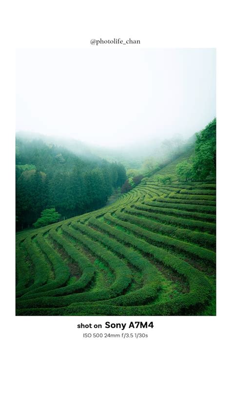 찬 감성사진 기록가 요즘 유행하는 지브리풍 사진 변환 저도 해봤어요🤭 익숙했던 풍경이 따뜻한 색감 덕분에 마치 애니메이션 속 한 장면처럼 바뀌었어요 현실과 상상의