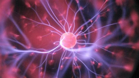 The Science Behind Adhd Brain Function And Structure Abc Of Adhd