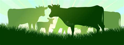 Cow Grazing Silhouette Stock Illustrations 685 Cow Grazing Silhouette Stock Illustrations