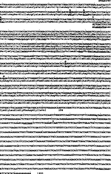 Figure 1 From Molecular Basis Of Essential Fructosuria Molecular