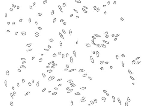 Image → Lookup Tables → Invert Lut Example Step F Analyze → Download Scientific Diagram