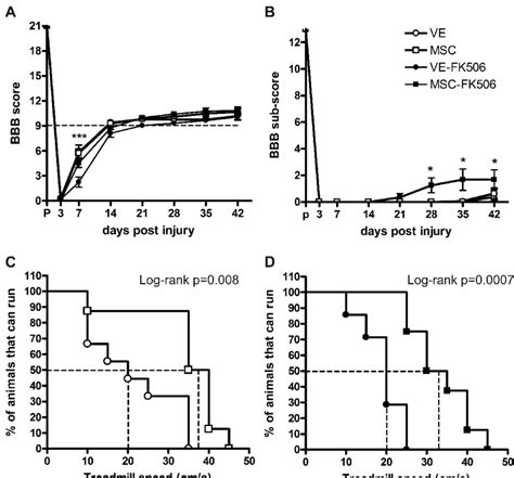 Gross Functional Locomotion Test Results The Open Field Locomotion Was