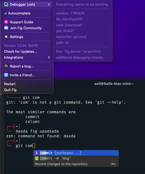 Custom Prompt Prevents Autocomplete From Working Issue Withfig Fig GitHub