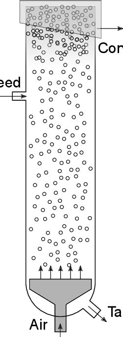 Schematic Of A Flotation Column A Type Of Pneumatic Cell The Column Download Scientific