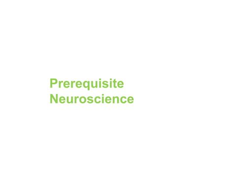 Introduction To Spiking Neural Networks From A Computational Neuroscience Perspective Ppt