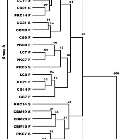 dendrogram hierarchical method of average clustering between groups