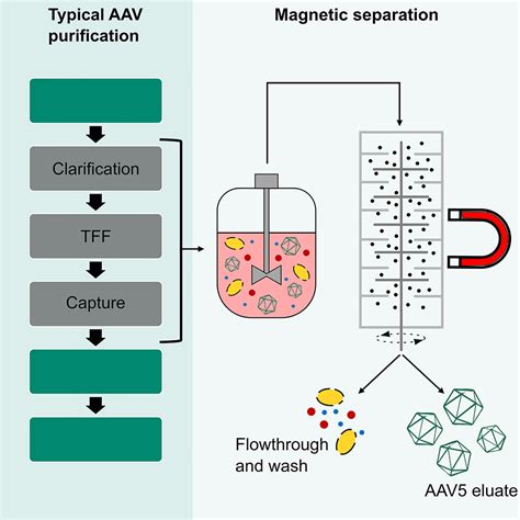 Magnetic Separation Chemistry