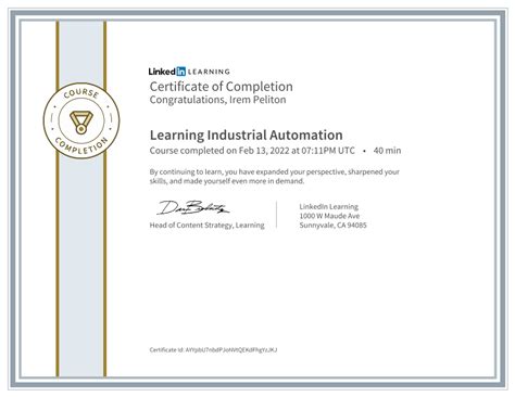 Irem Peliton On Linkedin Certificate Of Completion