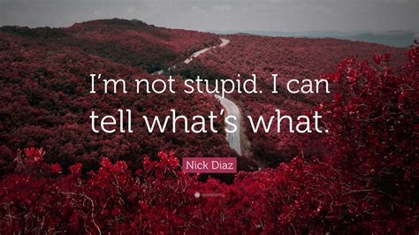 Nick Diaz Quote Im Not Stupid I Can Tell Whats What”